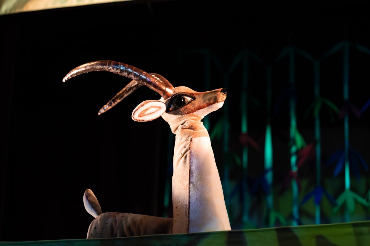 Золотая Антилопа - Краснодарское муниципальное творческое объединение ...