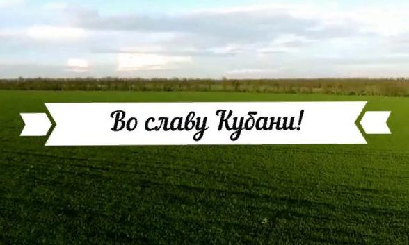 Официальный сайт Дворца искусств Краснодарское муниципальное творческое объединение КМТО